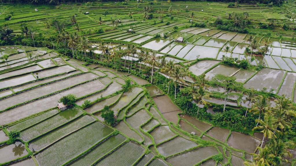 Tantangan dan Peluang Pemerintah Desa di Era Digital - LPKN Training Center
